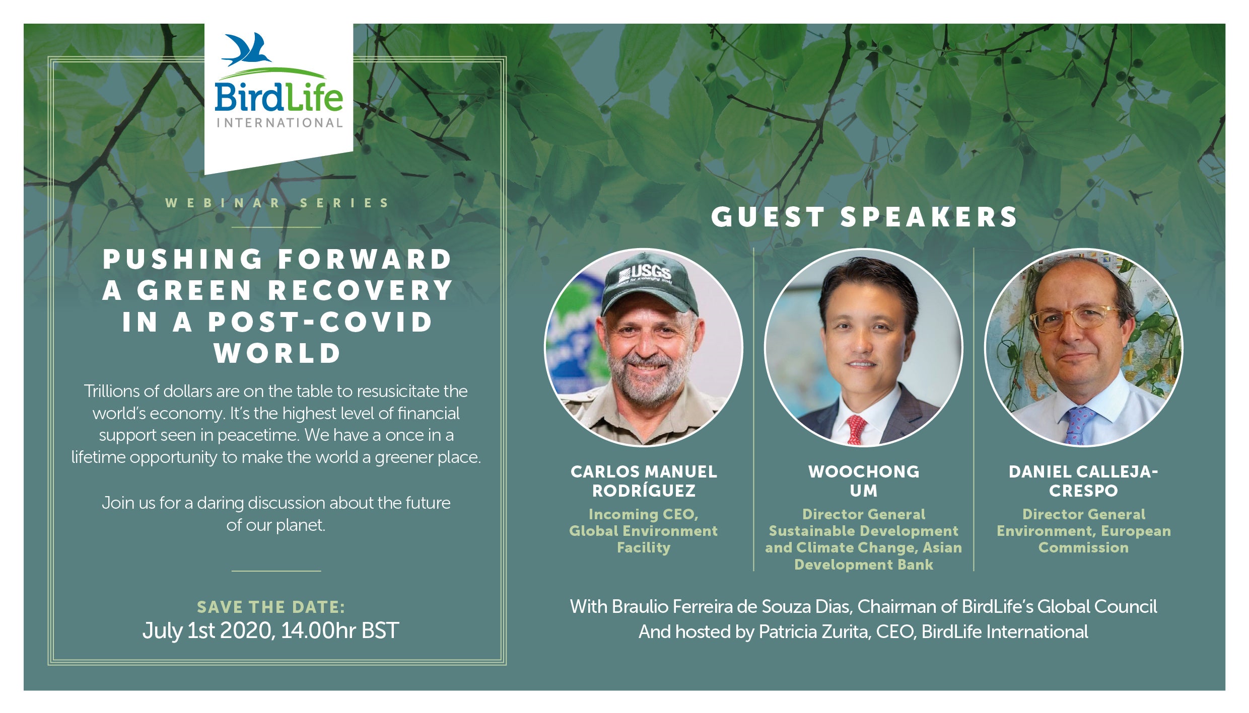 Birdlife International: Pushing Forward a Green Recovery in a Post ...