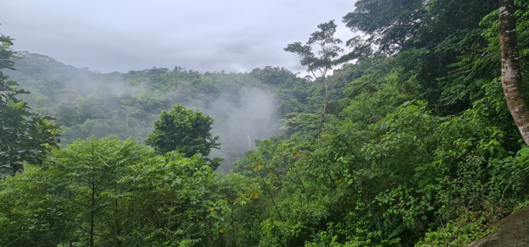 Voluntary Conservation in Latin America: Challenges and Opportunities ...