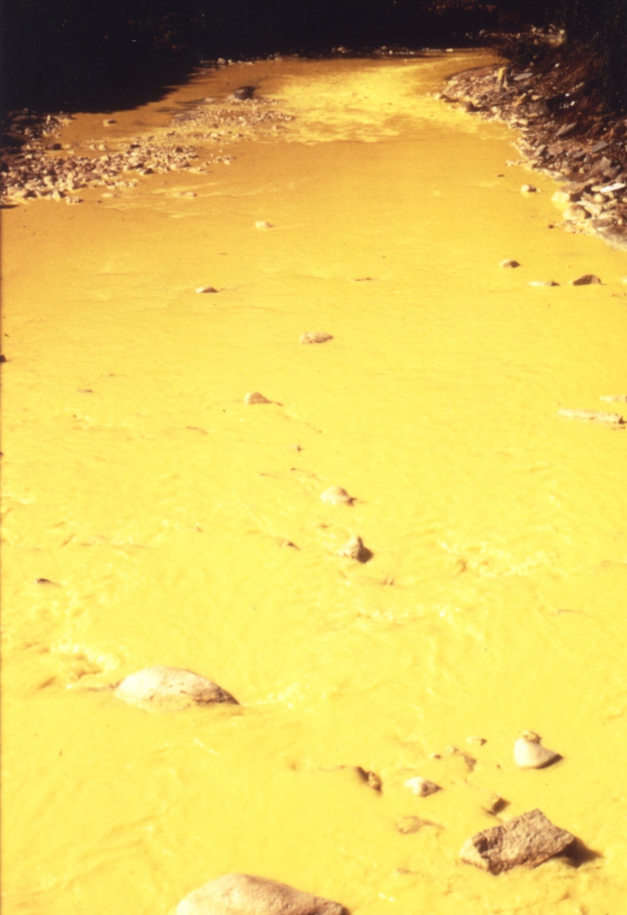 Water Woman: Marion Stoddart's Crusade to Save One of America's Most ...